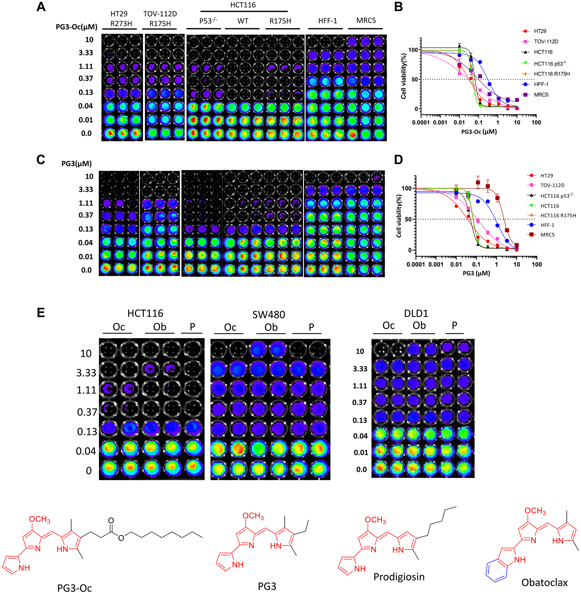 Integrated stress response (ISR) activation and apoptosis through HRI ...