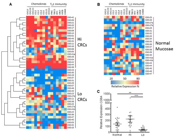 Active secretion of CXCL10 and CCL5 from colorectal cancer ...